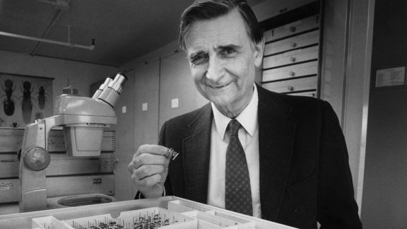 Biography of Famous Scientist E. O. Wilson - The Engineers Blog