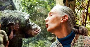 Biography of Famous Scientist Jane Goodall - The Engineers Blog