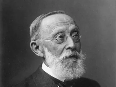 Biography of Famous Scientist Rudolf Virchow - The Engineers Blog
