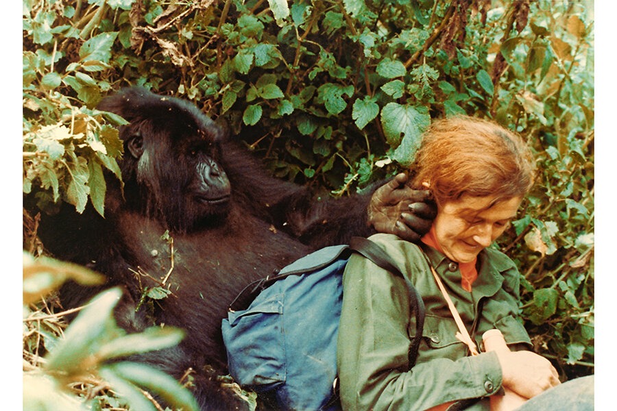 Biography of famous Scientist Dian Fossey. - The Engineers Blog