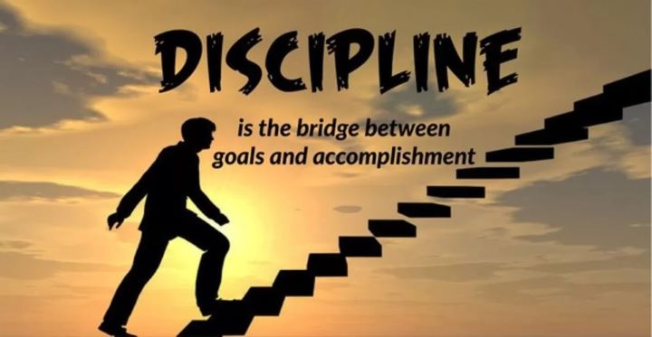 Success Through Discipline, Patience, and Perseverance the Pillars of ...